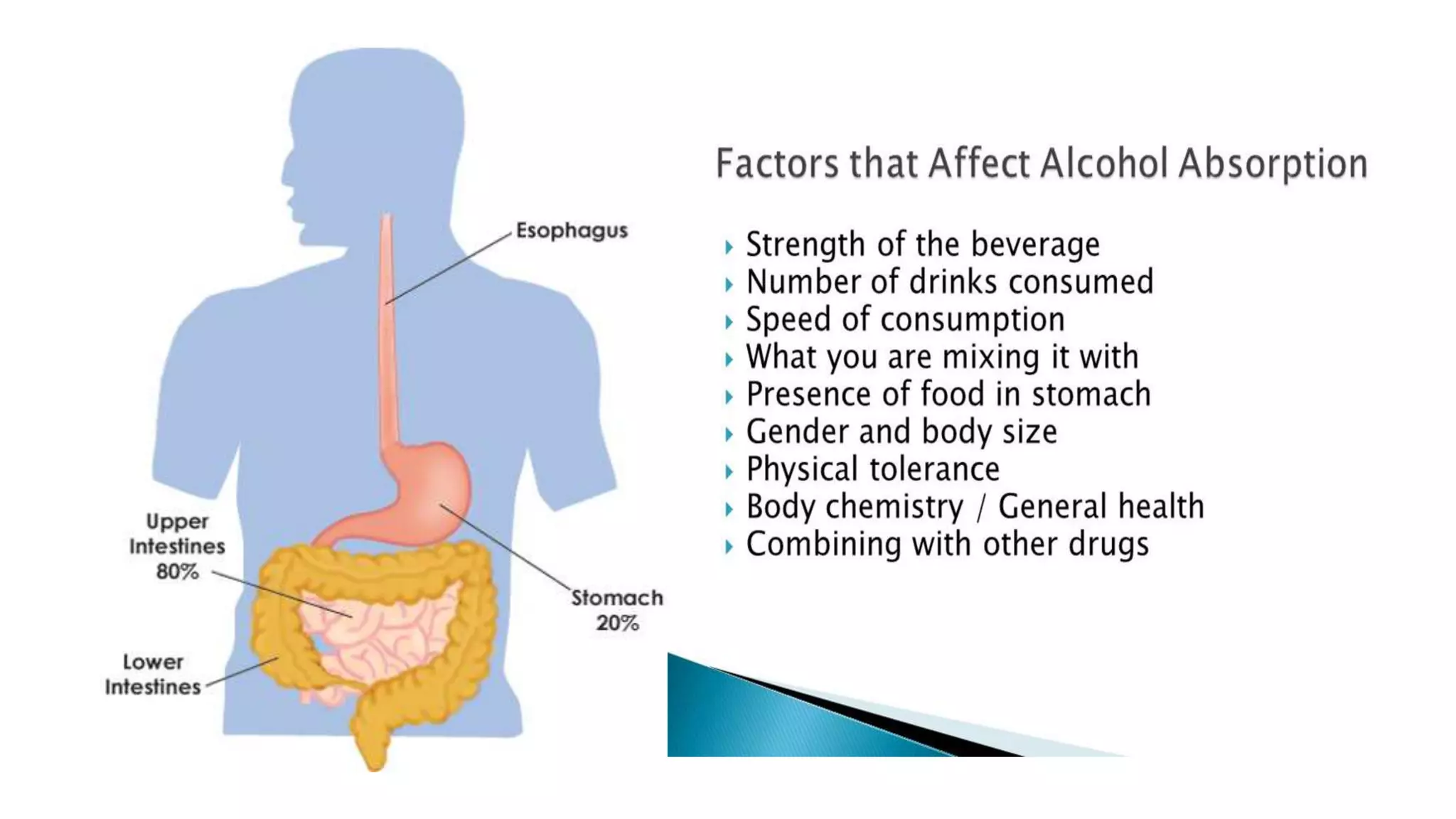 Forensic aspects of alcohol | PPTX