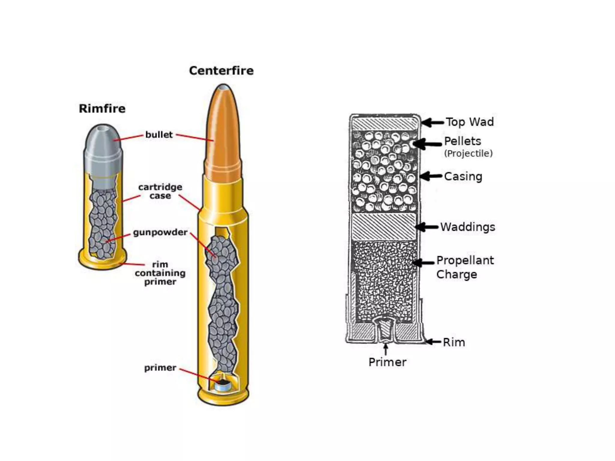 Forensic Ballistics.pptx | Arms & Ammunition | Sensitive Topics