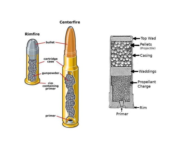 Forensic Ballistics.pptx | Arms & Ammunition | Sensitive Topics