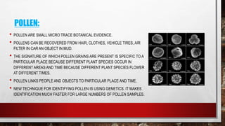 forensic biology presentation by Renee Prasad | PPT