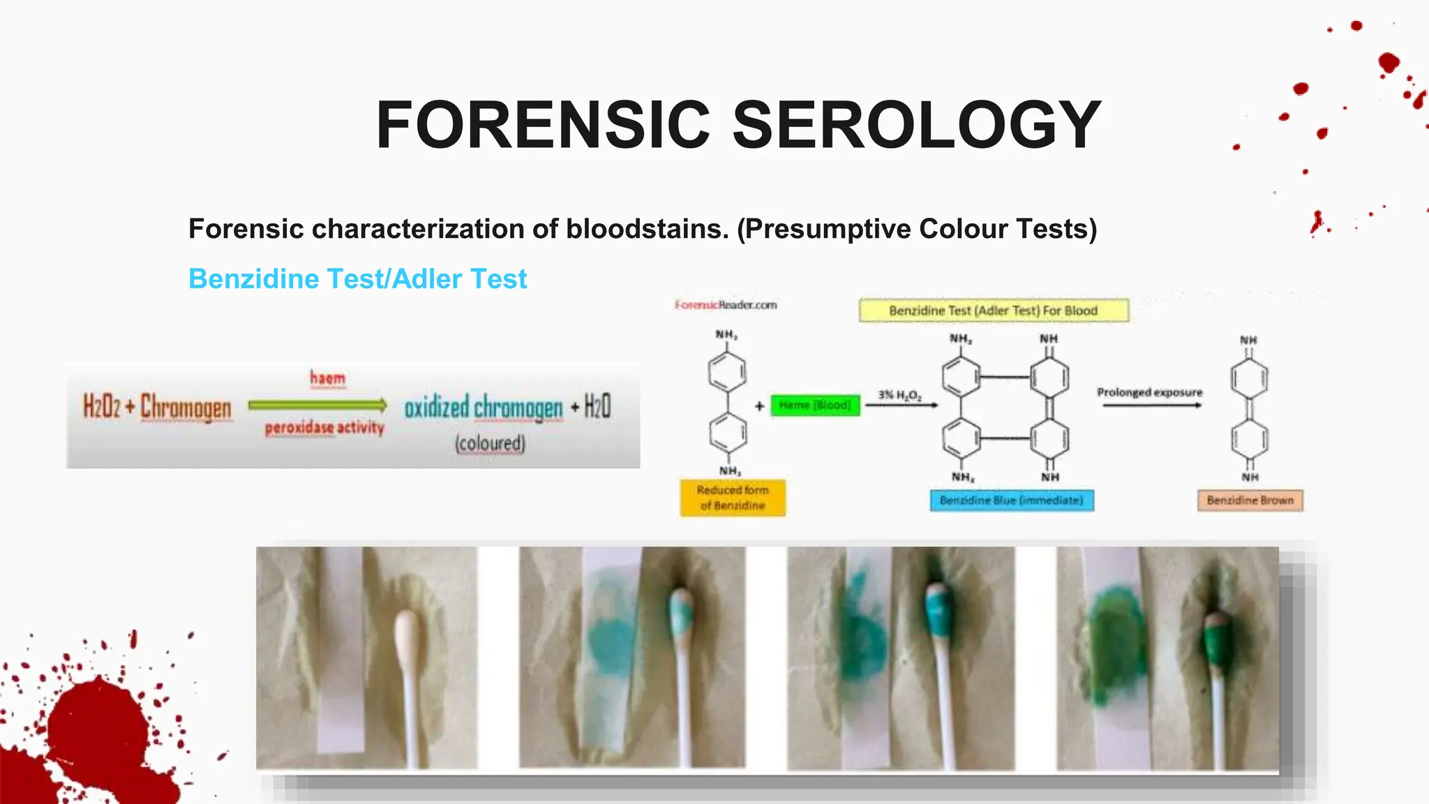 Forensic Blood Analysis --- 2-4-2024.pptx | Blood Disorders | Diseases ...