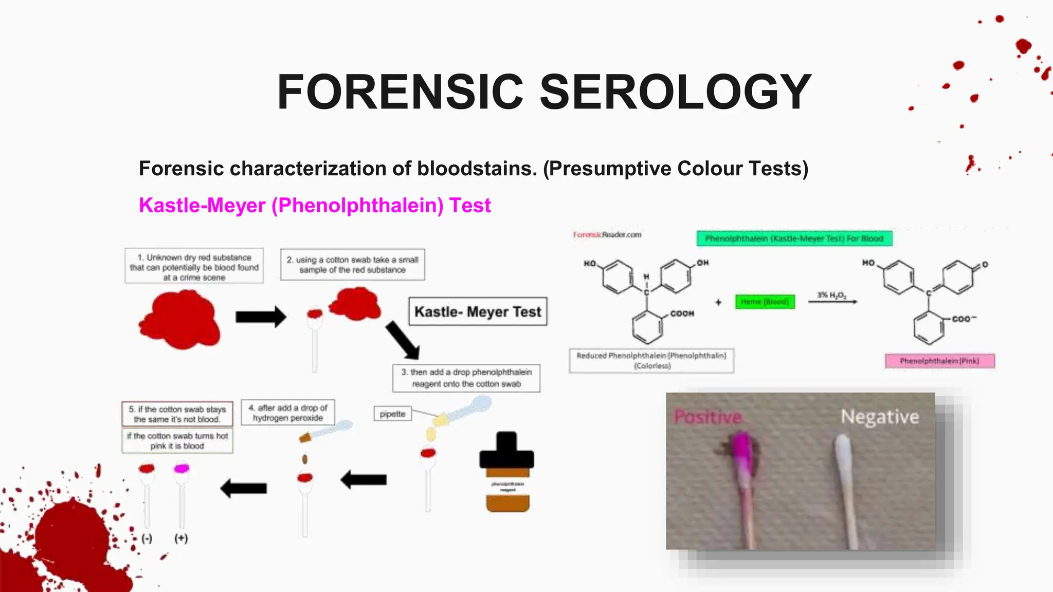 Forensic Blood Analysis --- 2-4-2024.pptx | Blood Disorders | Diseases ...