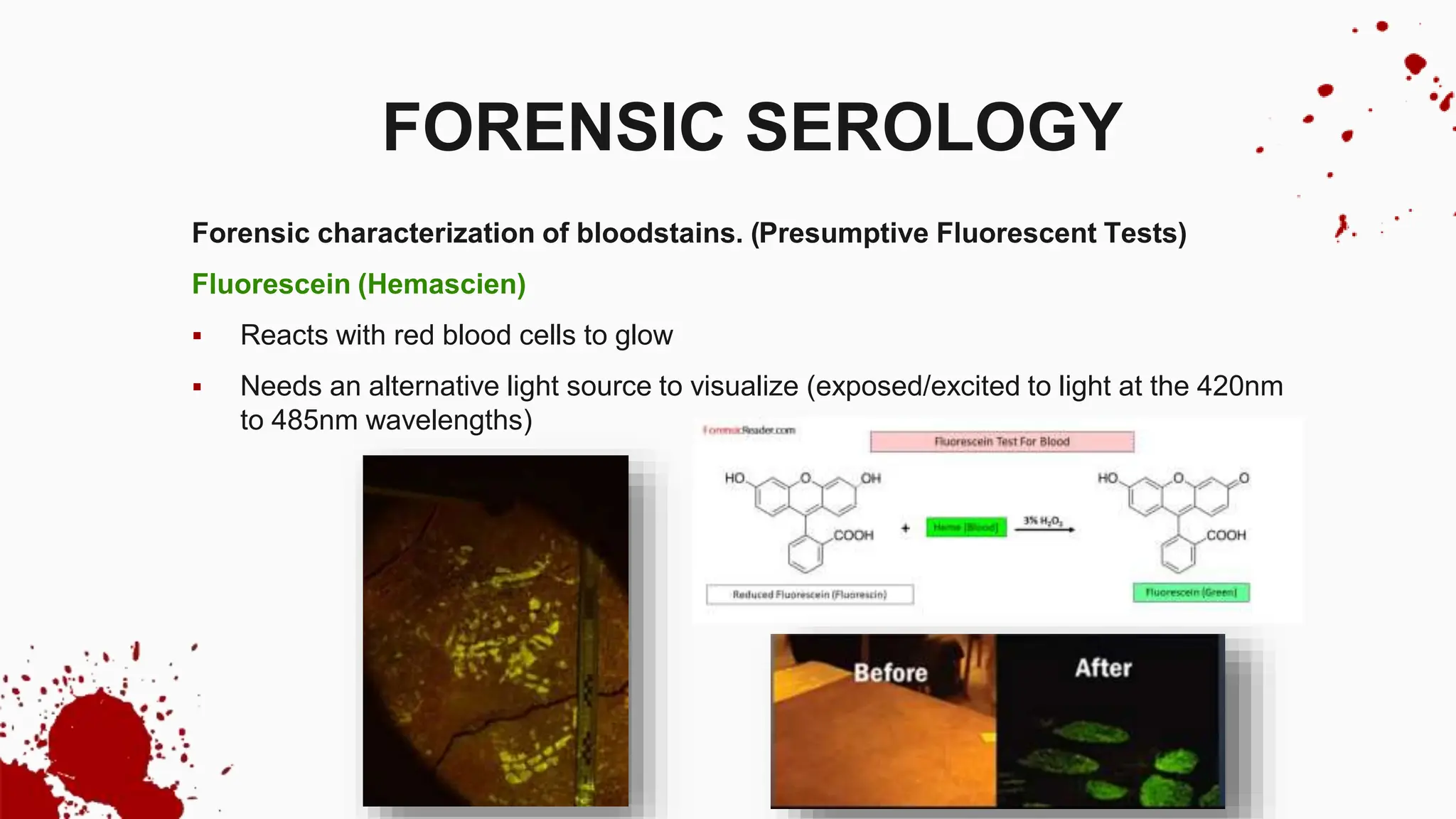 Forensic Blood Analysis --- 2-4-2024.pptx