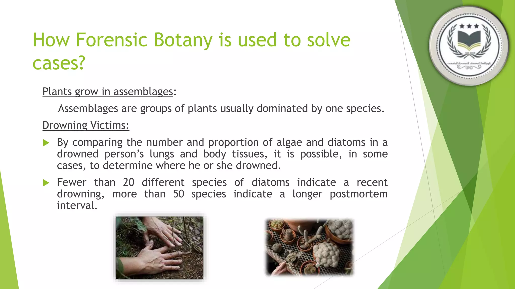 Forensic Botany | PPTX