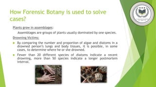 Forensic Botany | PPTX