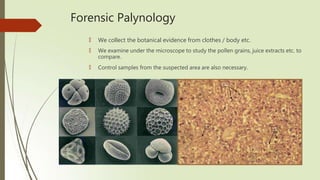 forensic botany .................................... | PPTX | Crime ...