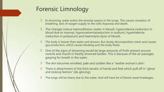 forensic botany .................................... | PPTX