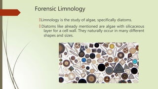 forensic botany .................................... | PPTX