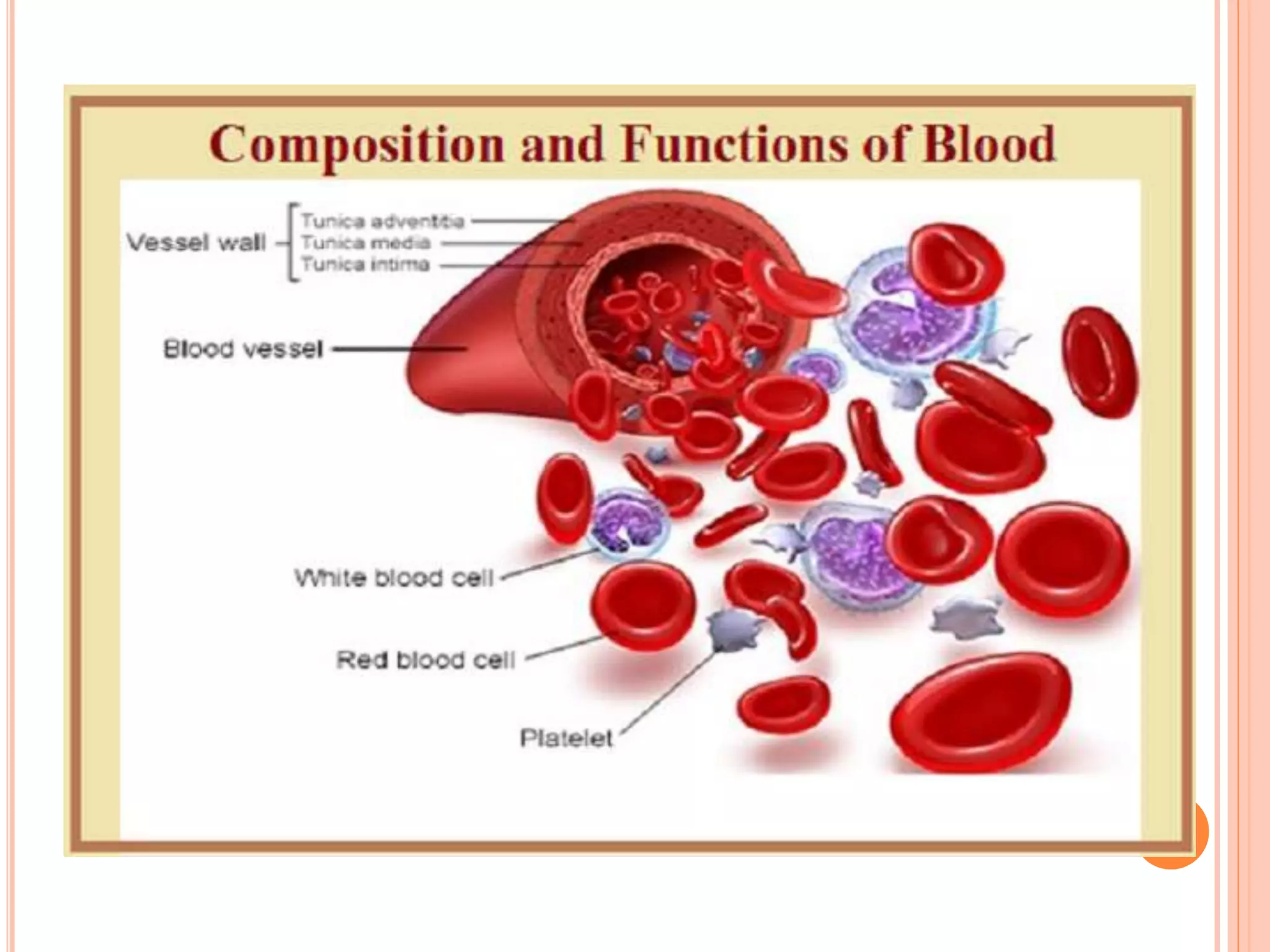 Forensic characterization of blood | PPTX