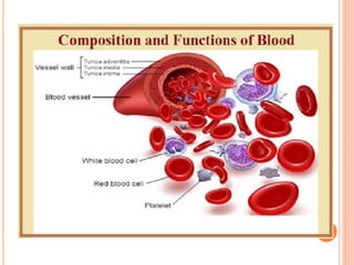 Forensic characterization of blood | PPTX