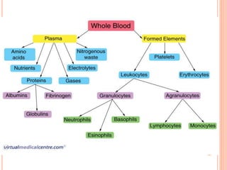 Forensic characterization of blood | PPTX