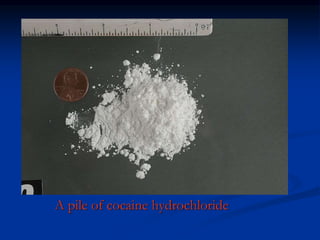 Forensic cocaine drug abuse | PPT