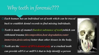 Forensic dentistry | PPTX