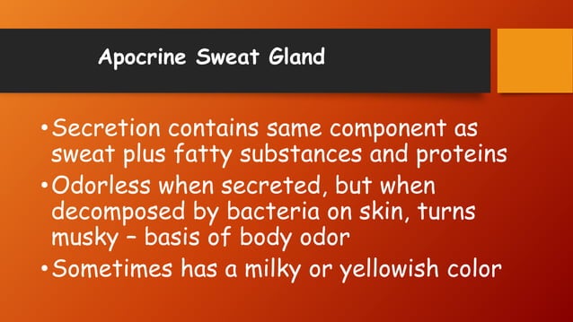 DEVELOPMENT OF FINGERPRINTS | PPTX | Skin and Dermatology | Diseases ...