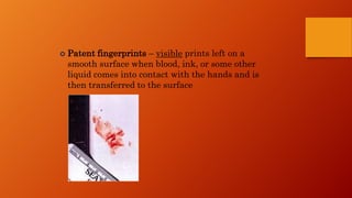 DEVELOPMENT OF FINGERPRINTS | PPTX