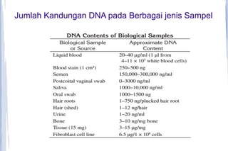 Forensic dna analysis | PPT