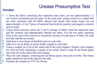 Forensic dna analysis | PPT