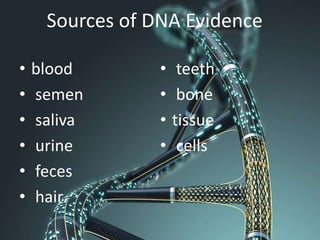 Forensic dna analysis | PPTX