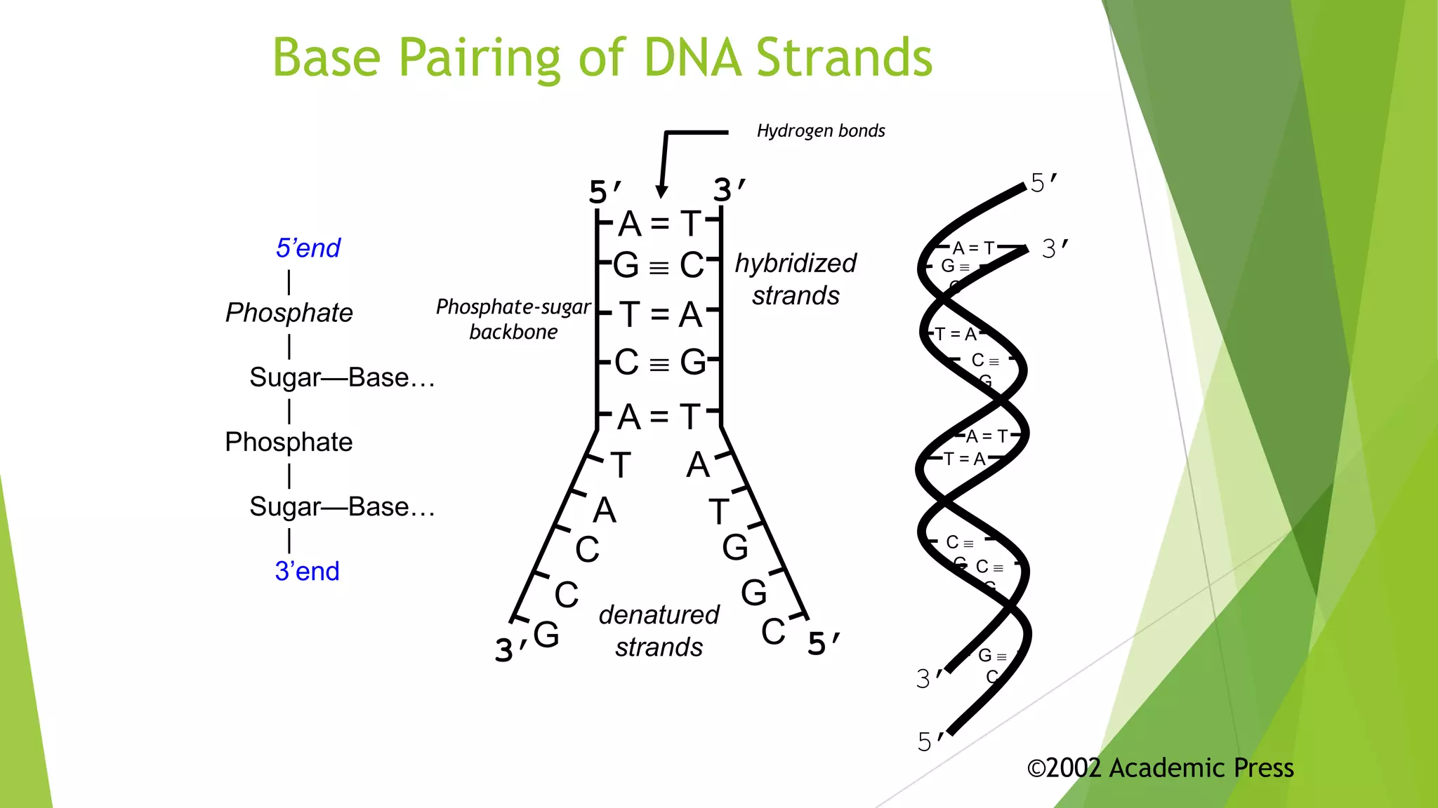 Forensic dna typing by John M Butler | PPTX
