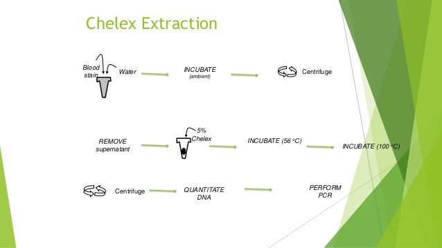 Forensic dna typing by John M Butler