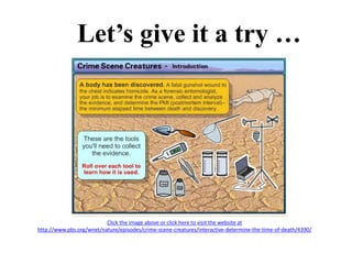 forensicento.ppt