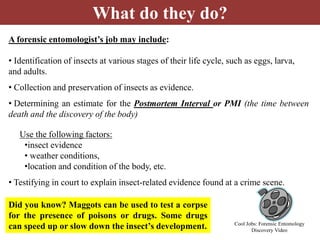 forensic_entomolgy_notes.pdfnjskskkdidys | PDF