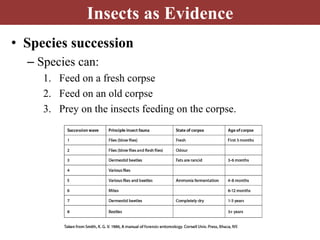 forensic_entomolgy_notes.pdfnjskskkdidys | PDF