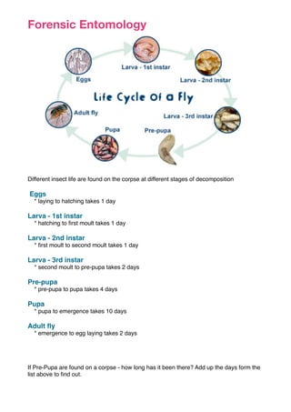 Forensic Entomology | PDF