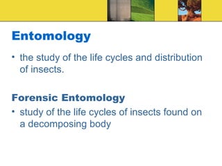 Forensic entomology | PPT