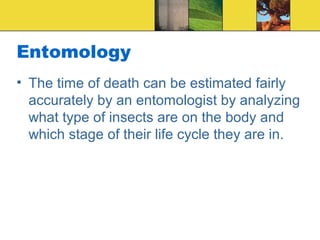 Forensic entomology | PPT