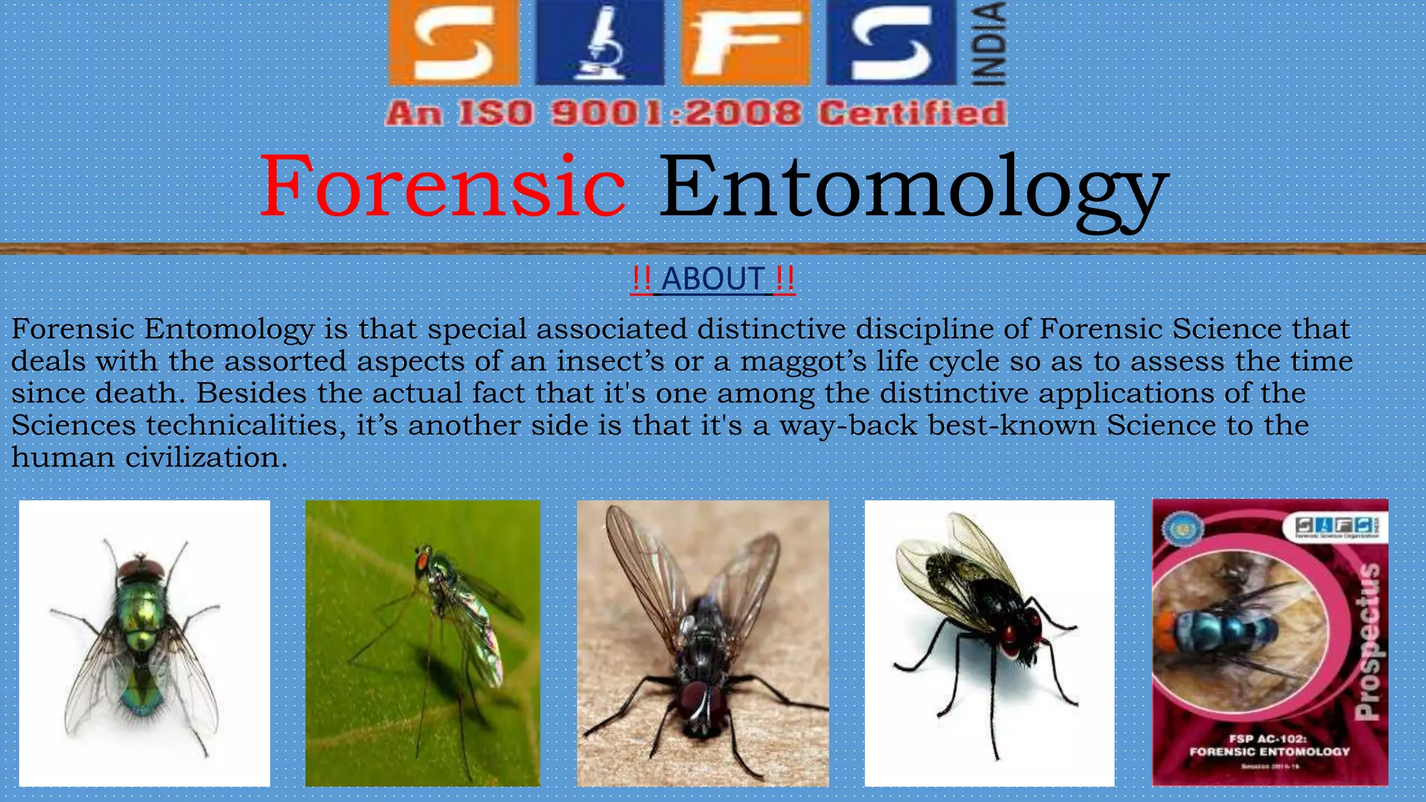 Forensic entomology | PPTX