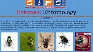 Forensic entomology | PPTX