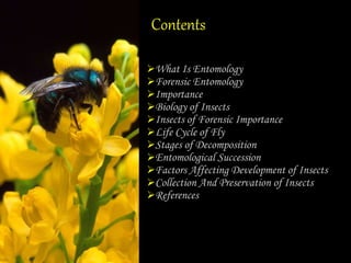 Forensic entomology | PPT