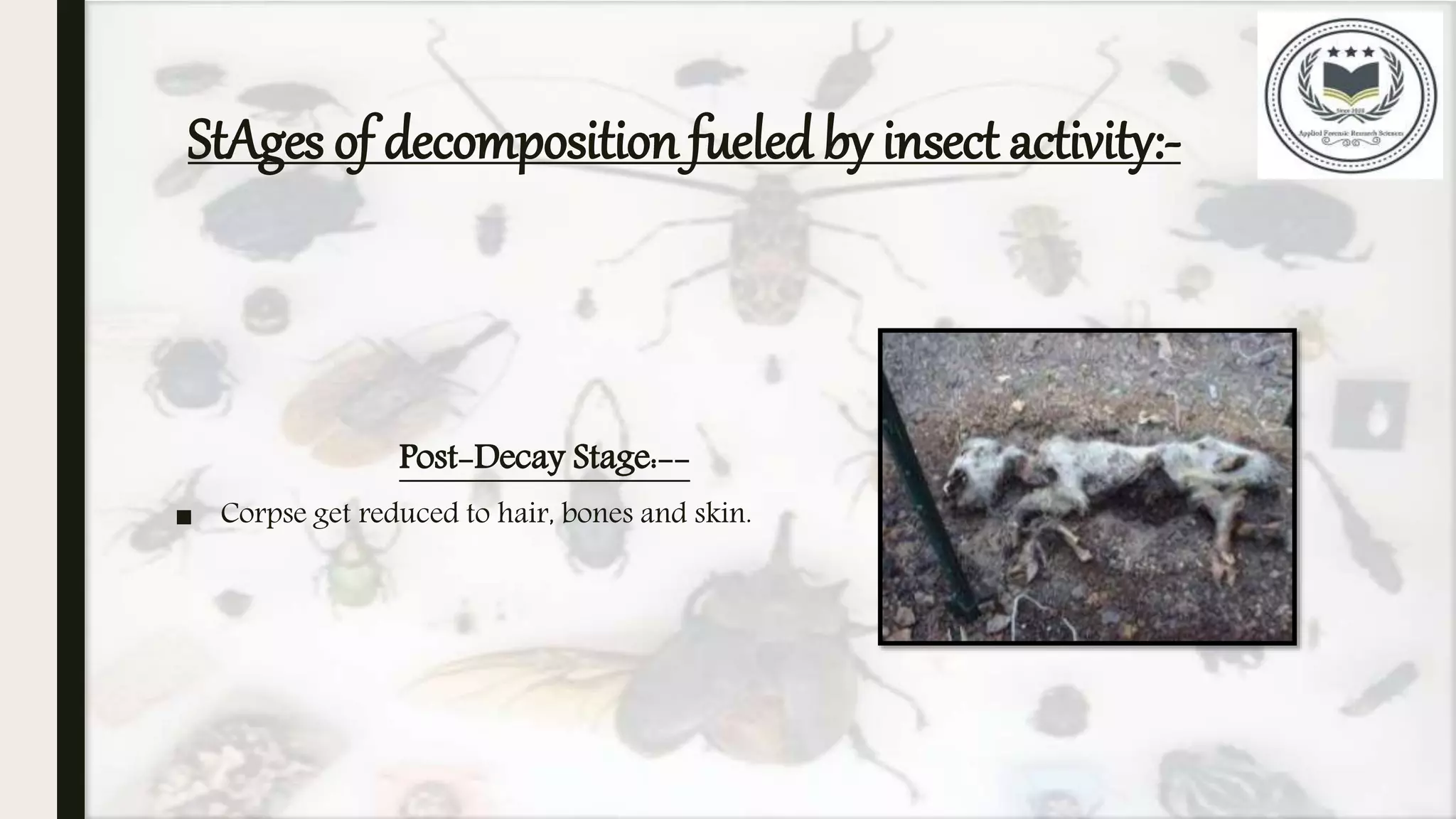 Forensic Entomology | PPTX