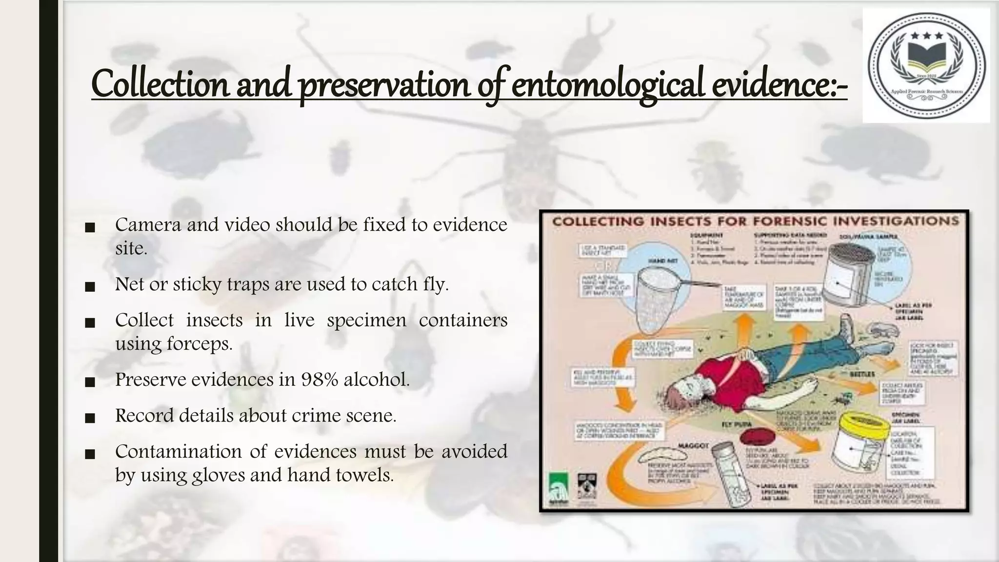Forensic Entomology | PPTX