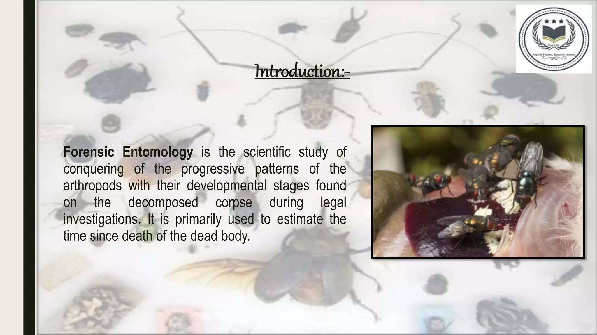 Forensic Entomology | PPTX