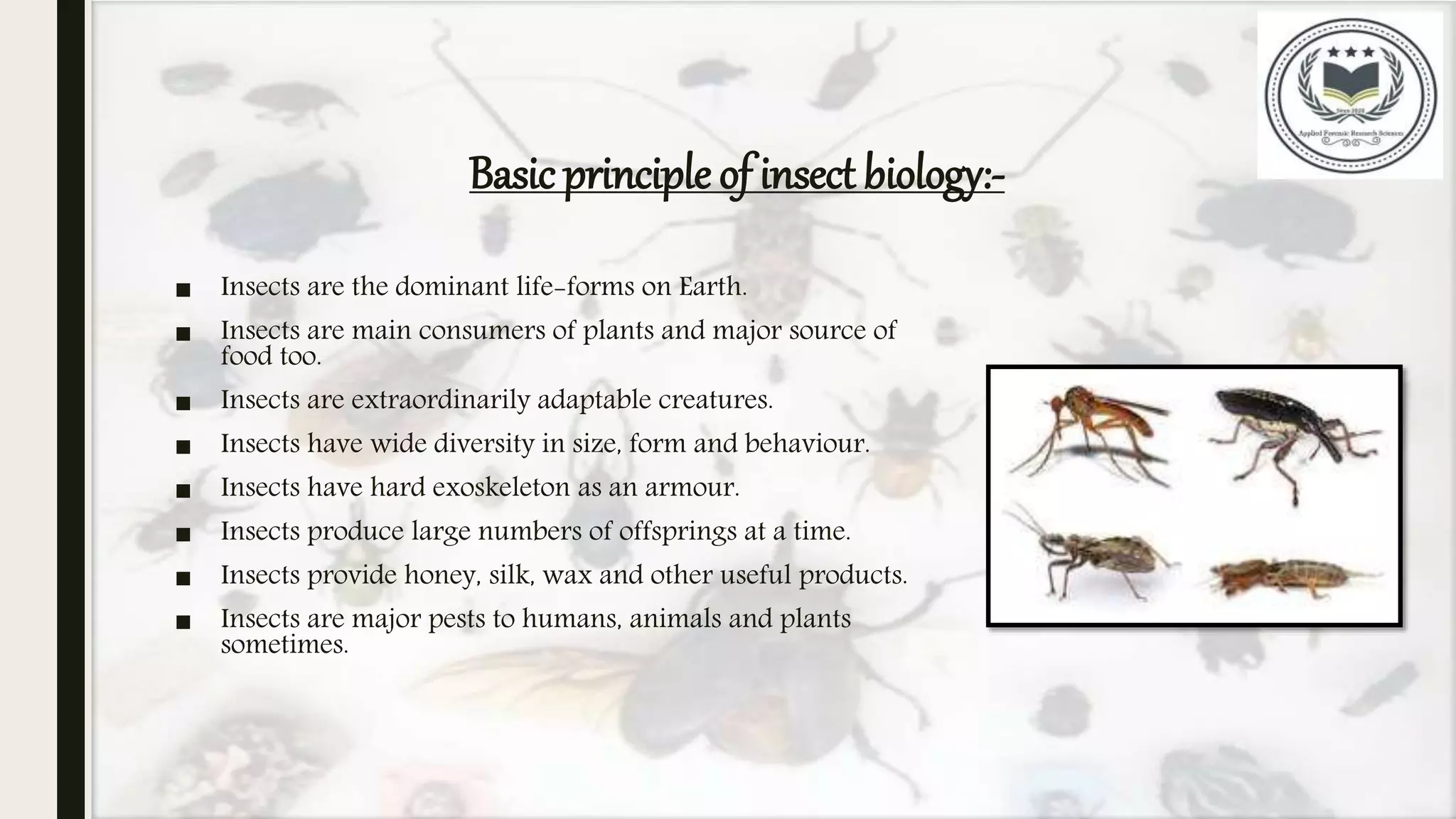 Forensic Entomology | PPTX