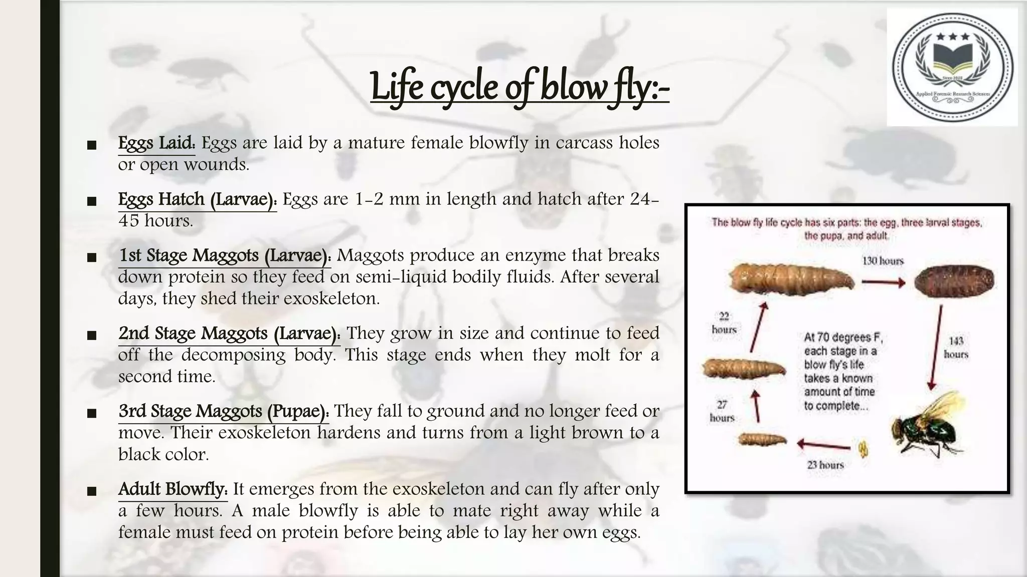Forensic Entomology | PPTX