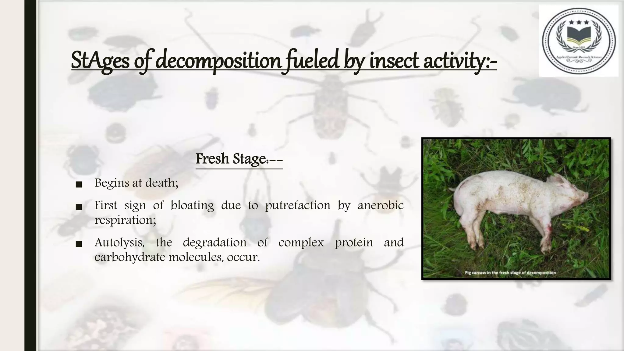 Forensic Entomology | PPTX