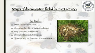Forensic Entomology | PPTX