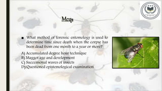 Forensic Entomology | PPTX