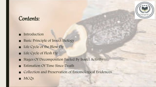 Forensic Entomology | PPTX