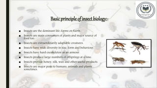 Forensic Entomology | PPTX