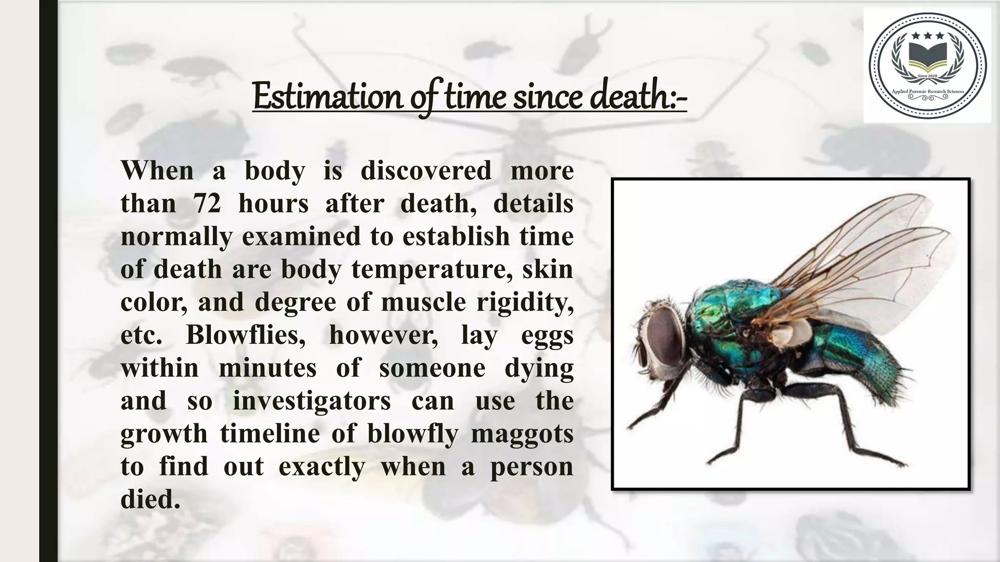 Forensic Entomology | PPTX | Biological Sciences | Science
