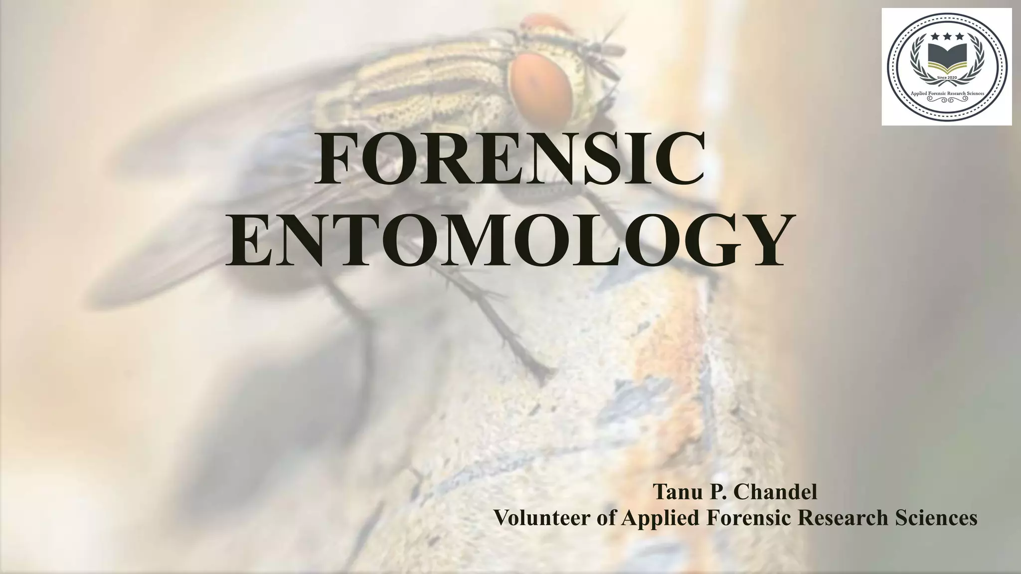 Forensic Entomology | PPTX | Biological Sciences | Science