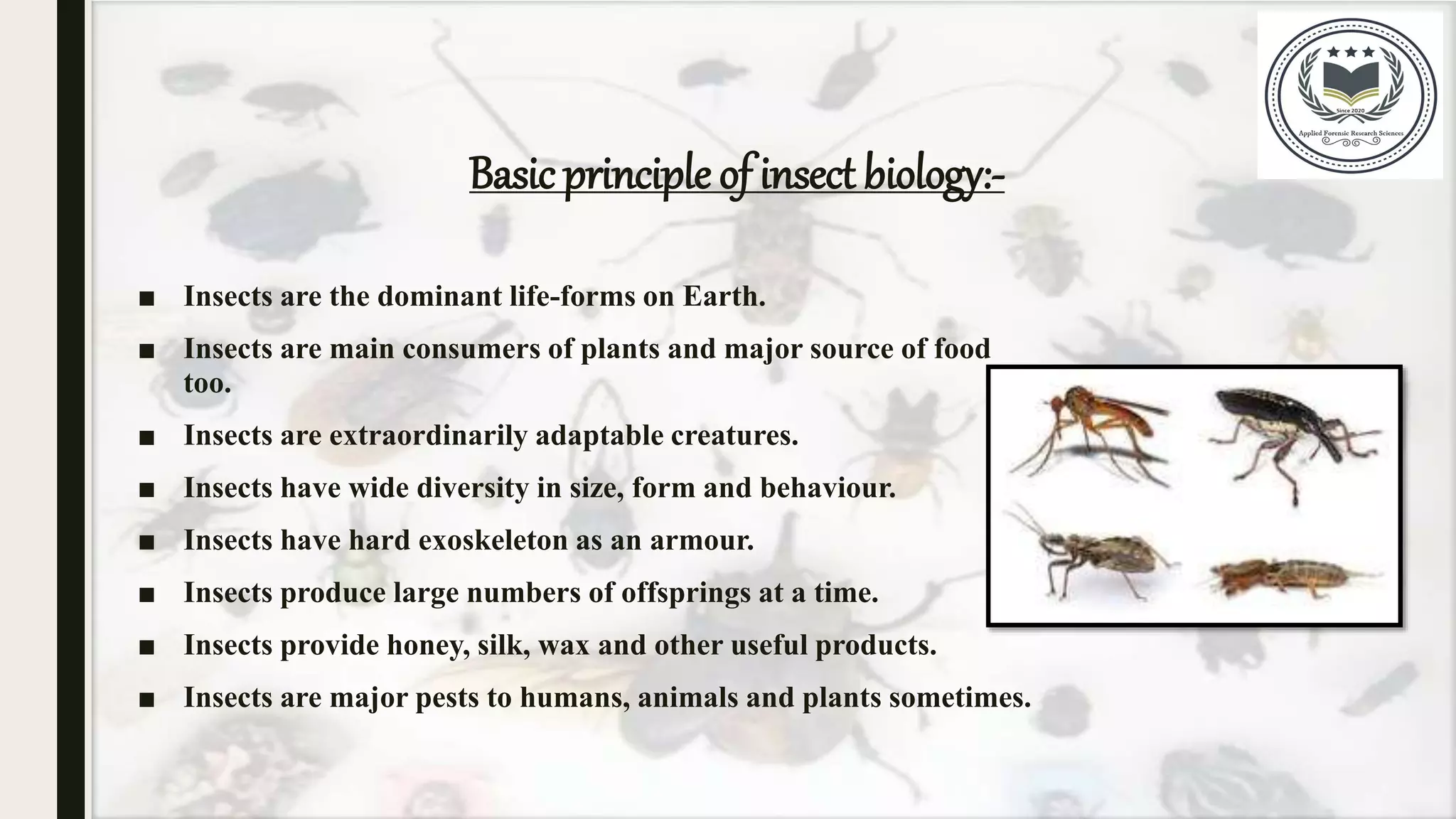 Forensic Entomology | PPTX | Biological Sciences | Science