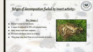Forensic Entomology | PPTX | Biological Sciences | Science