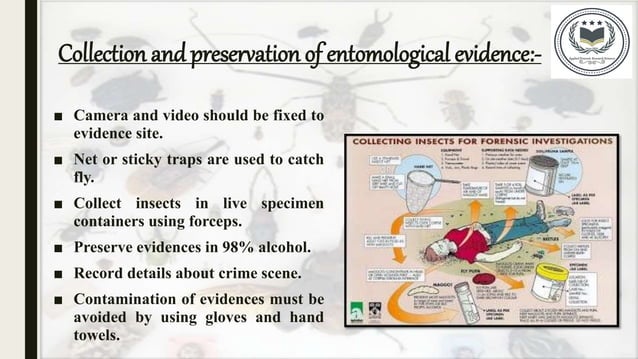 Forensic Entomology | PPT
