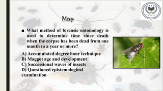 Forensic Entomology | PPTX | Biological Sciences | Science