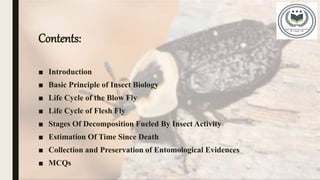 Forensic Entomology | PPTX | Biological Sciences | Science